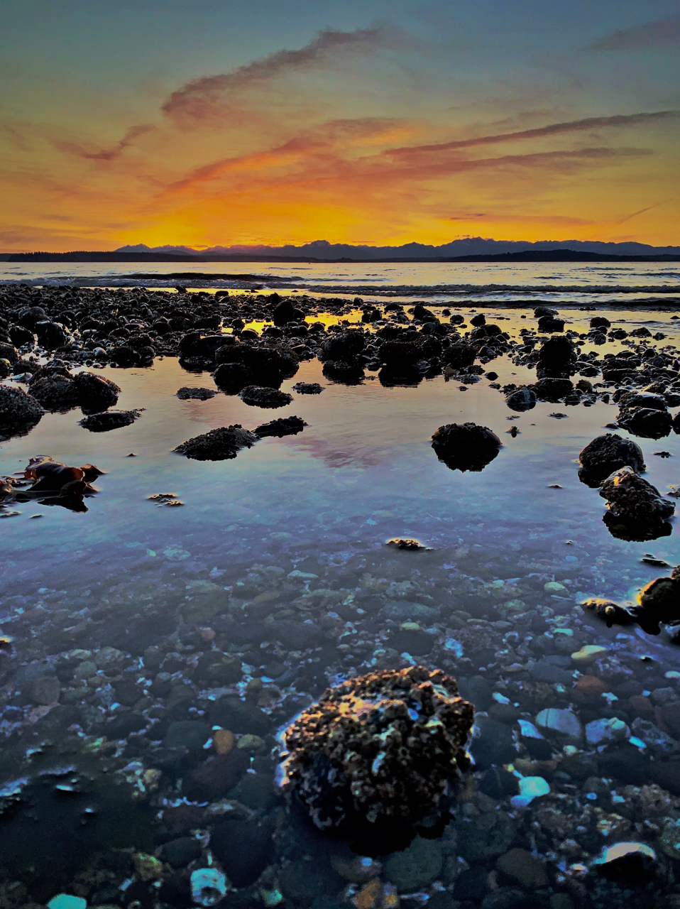 Sunset of the week 4 -1-19 | Westside Seattle